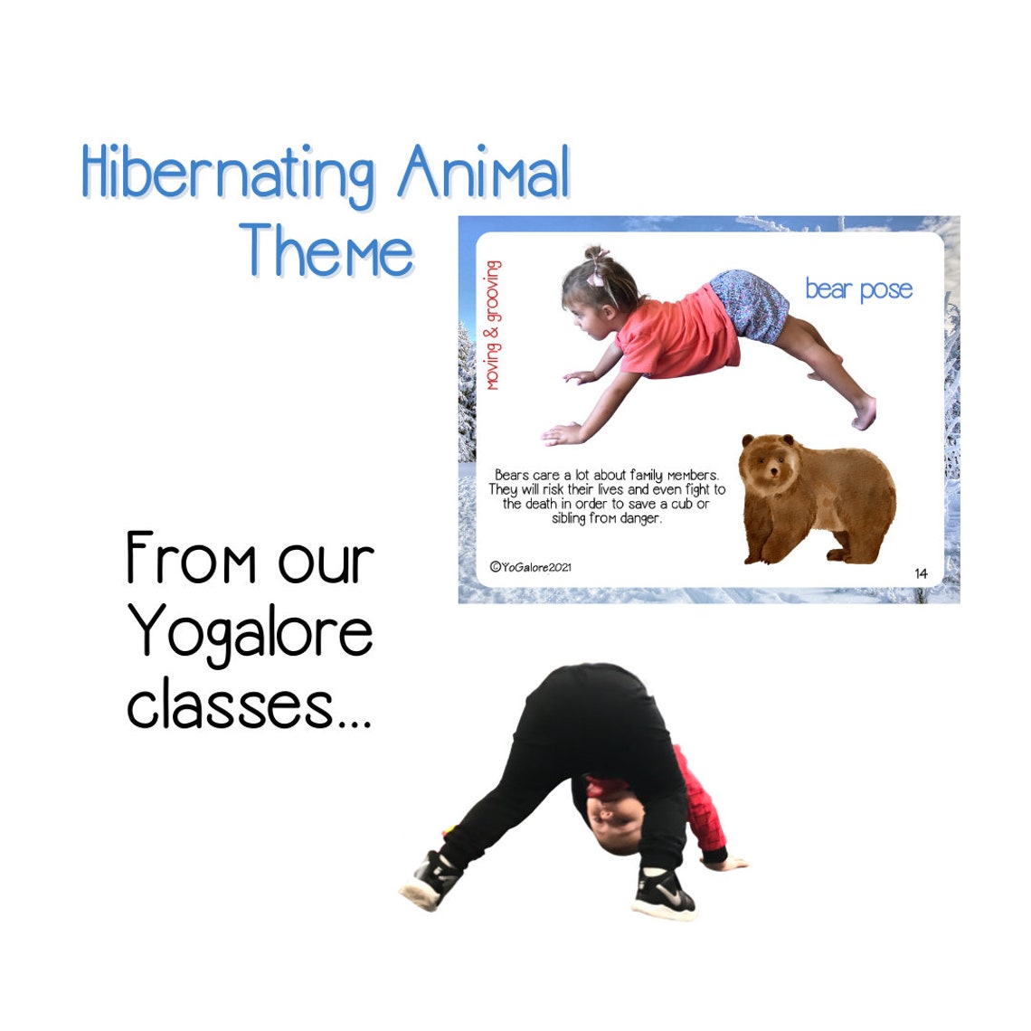 Hibernating Animals Yoga & Movement Pose Cards - Etsy