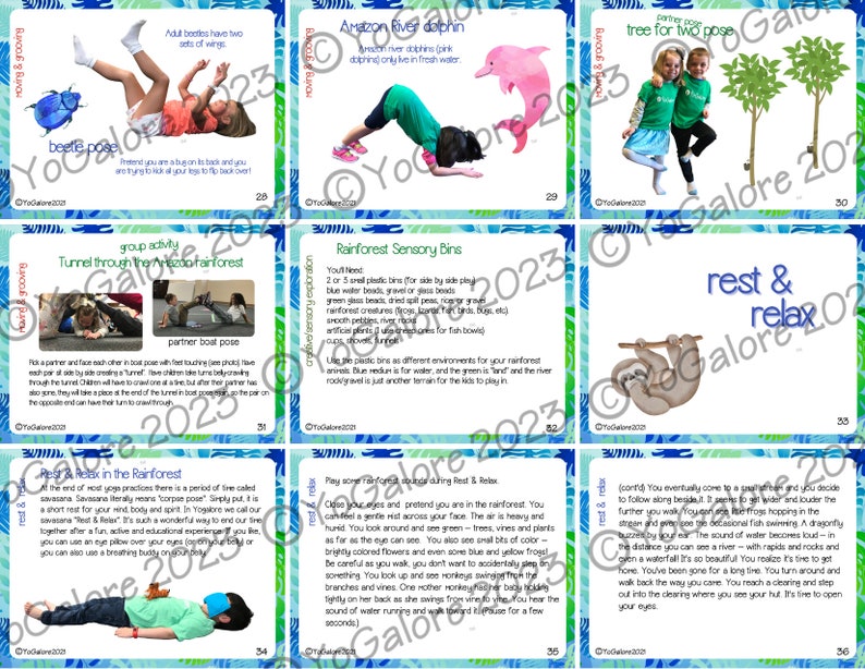 Rainforest Animals Yoga & Movement Pose Cards - Etsy