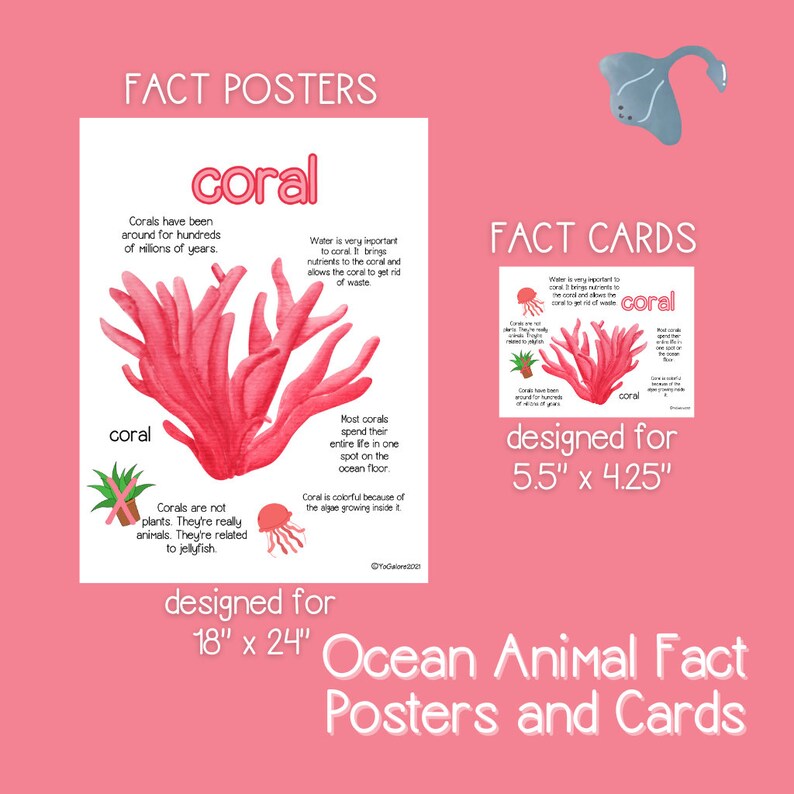 Ocean Animals: Yoga Pose Cards, Fact Posters and Cards for Preschool ...