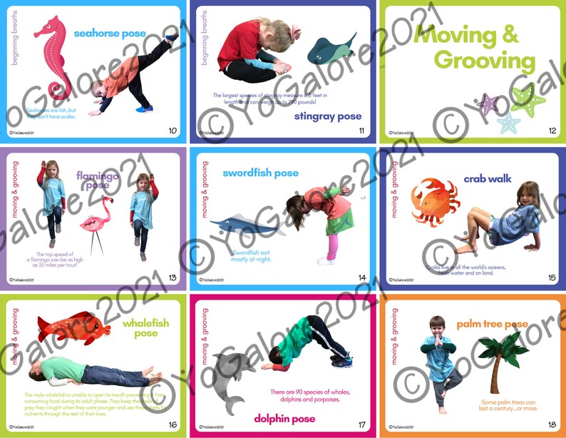 Ocean Animals Ocean Life Yoga & Movement Pose Cards With - Etsy