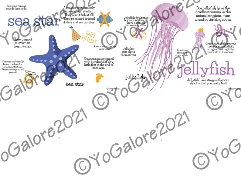 Ocean Life Fact Posters and Cards - Etsy