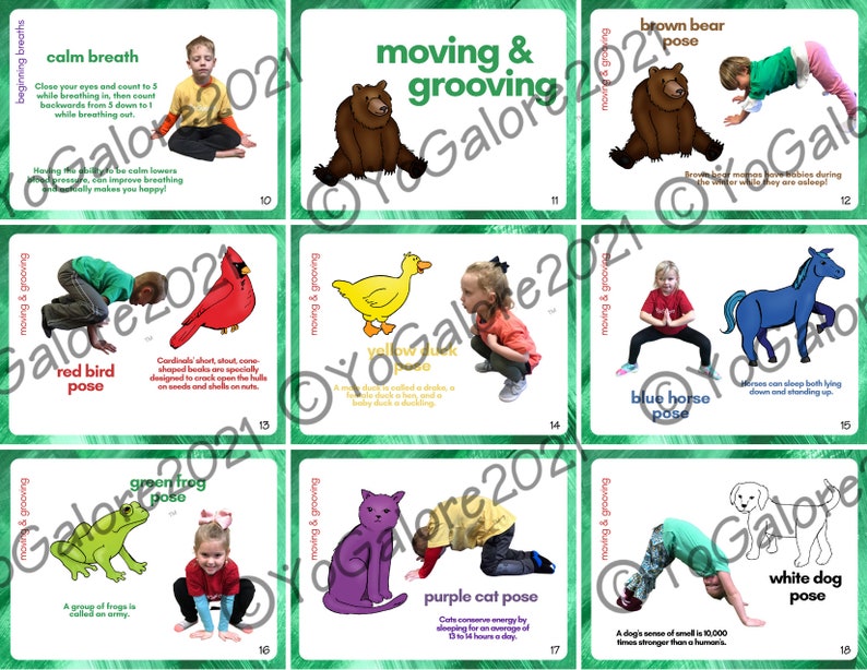 Brown Bear Brown Bear What Do You See Yoga & Movement Pose - Etsy