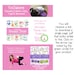 Dinosaur Fact Posters and Cards Printable Science Decor for Kids ...