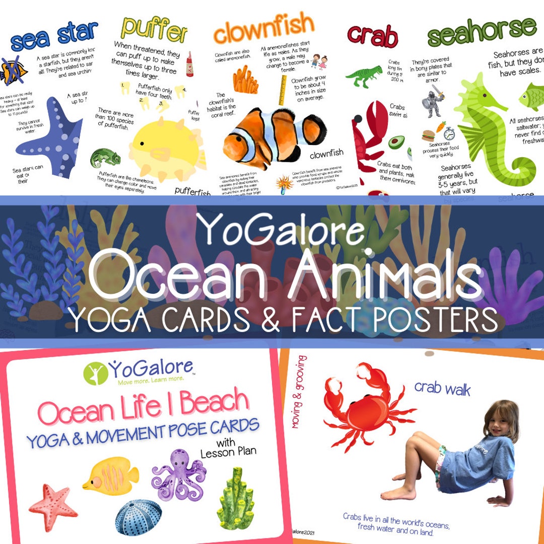 Ocean Animals: Yoga Pose Cards, Fact Posters and Cards for Preschool ...