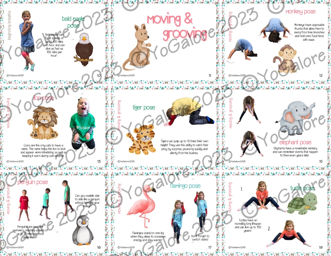 Zoo Animal Theme Yoga & Movement Cards for Preschool and Kindergarten ...