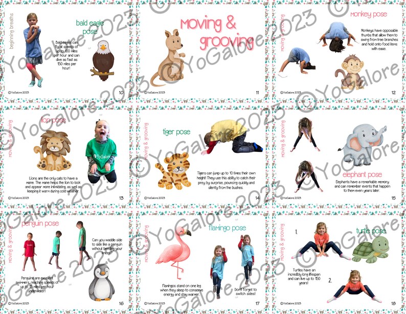 Zoo Animal Theme Yoga & Movement Cards for Preschool and Kindergarten ...