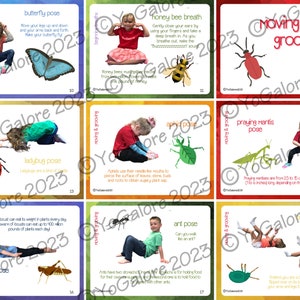 Bugs and Insects Yoga Pose Cards for Kids, Gross Motor Movement for ...