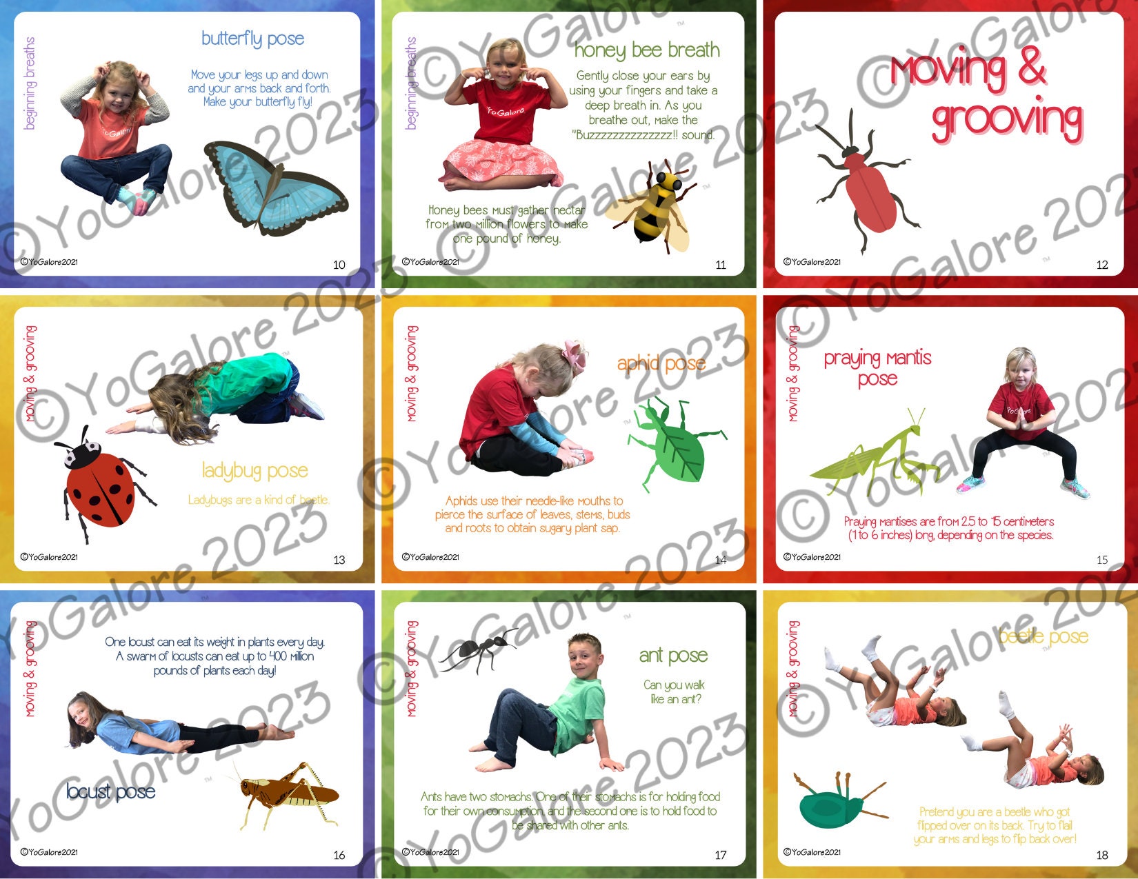 Bugs and Insects Yoga Pose Cards for Kids, Gross Motor Movement for ...