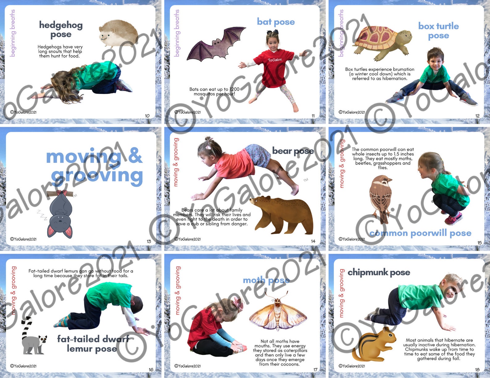 Hibernating Animals Yoga & Movement Pose Cards - Etsy