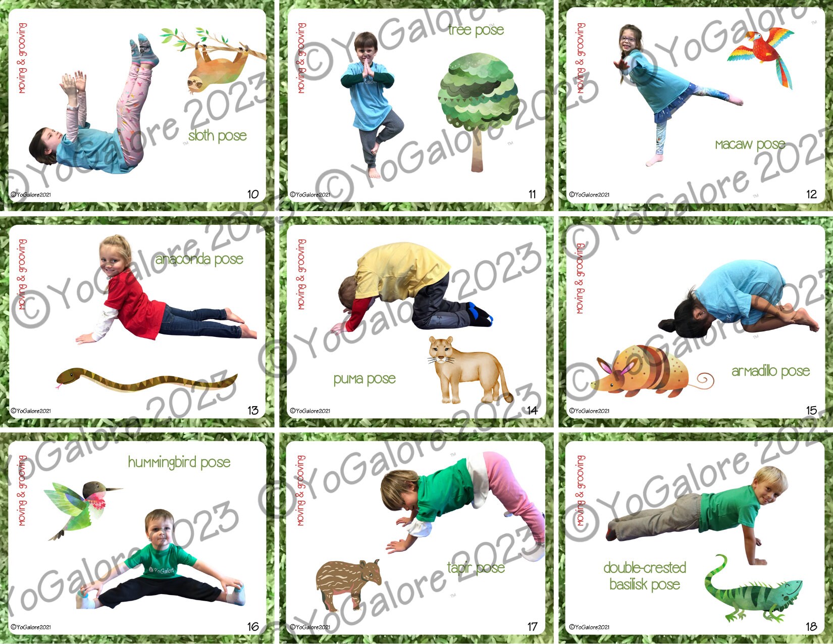 Slowly, Slowly, Slowly Said the Sloth Yoga & Movement Pose Card Set - Etsy