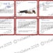 The Mitten Yoga & Movement Pose Cards With Activity - Etsy