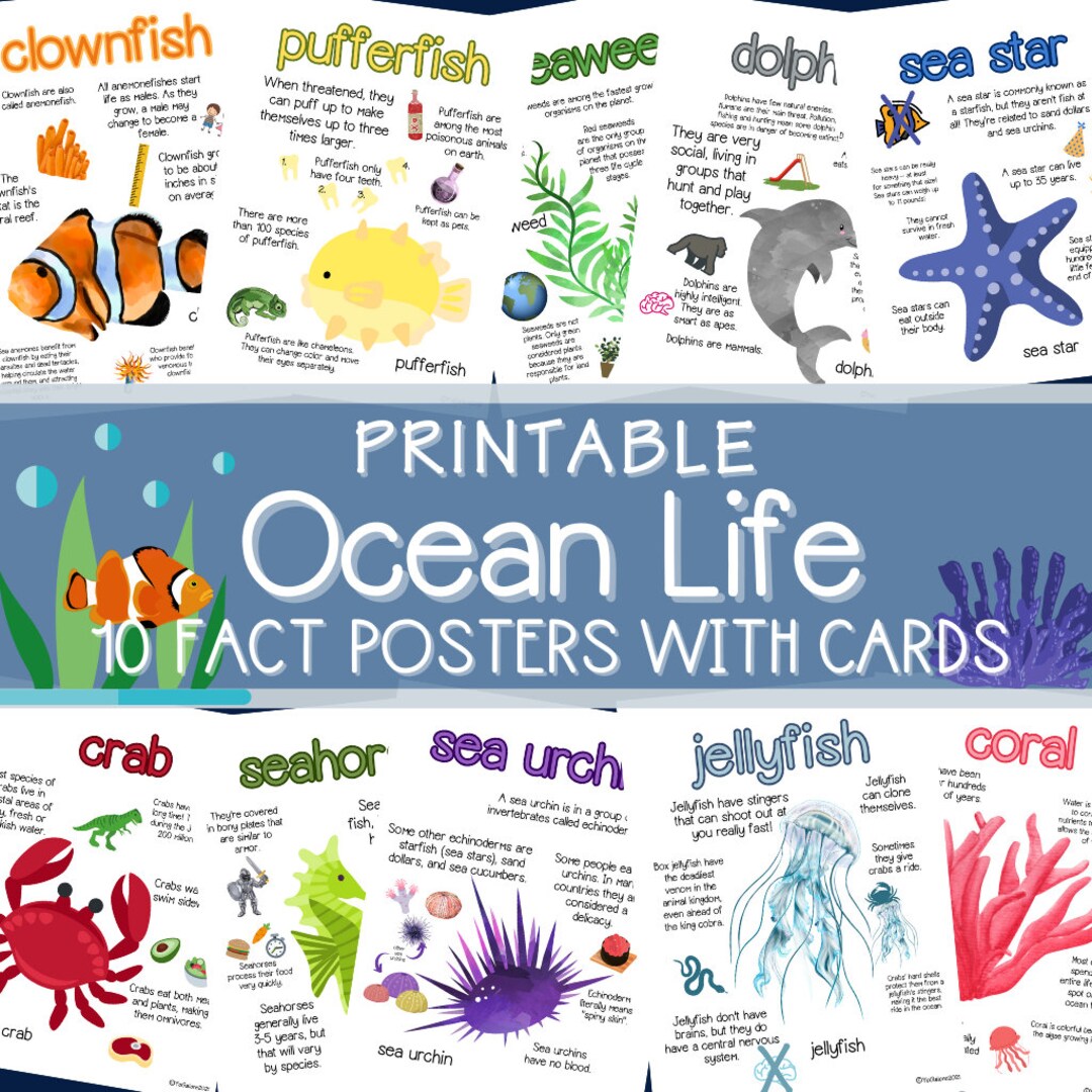 Ocean Life Fact Posters and Cards - Etsy