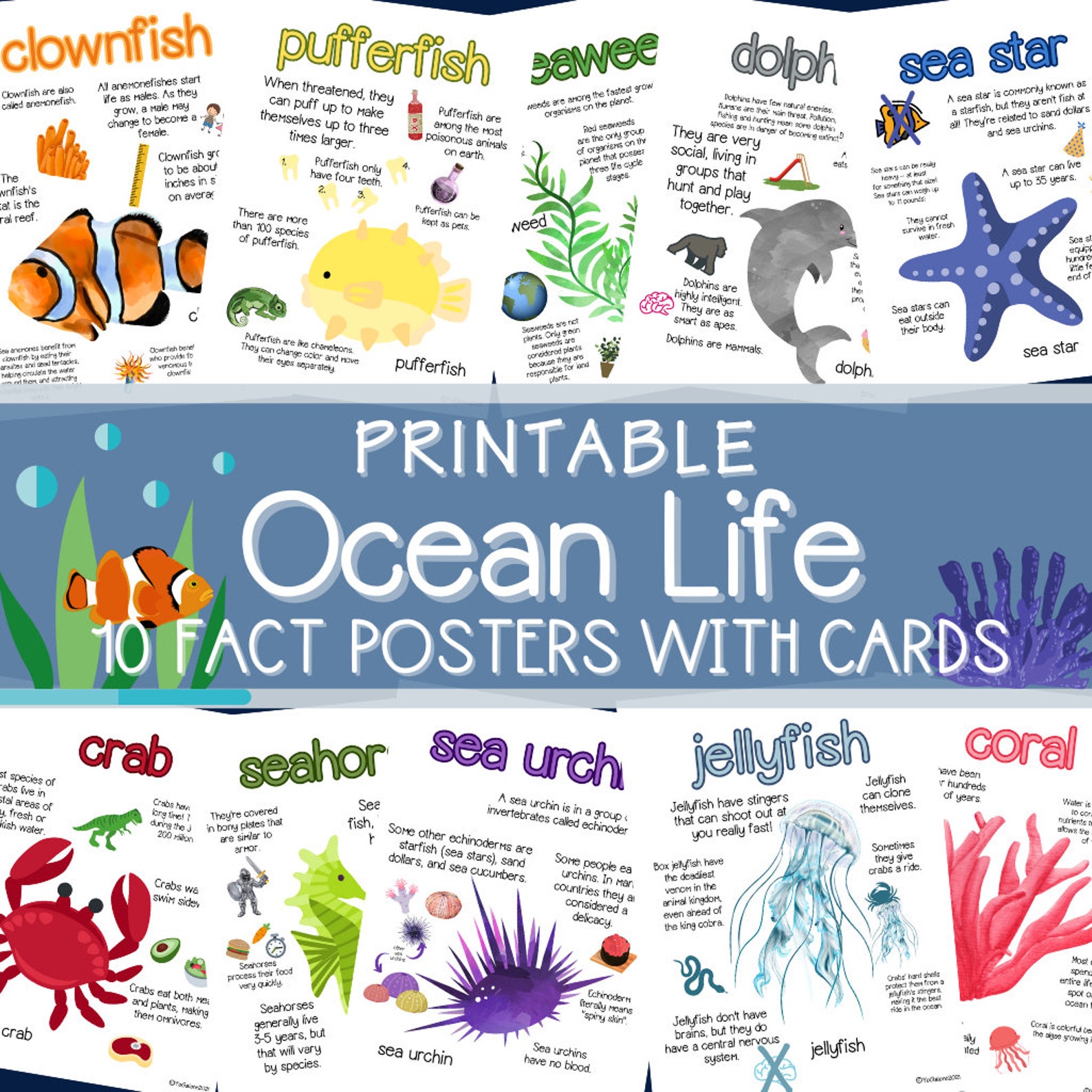 Ocean Life Fact Posters and Cards - Etsy