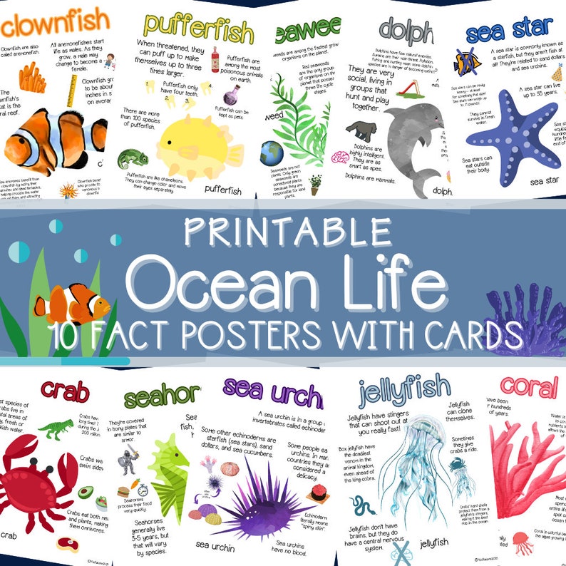 Ocean Life Fact Posters and Cards - Etsy