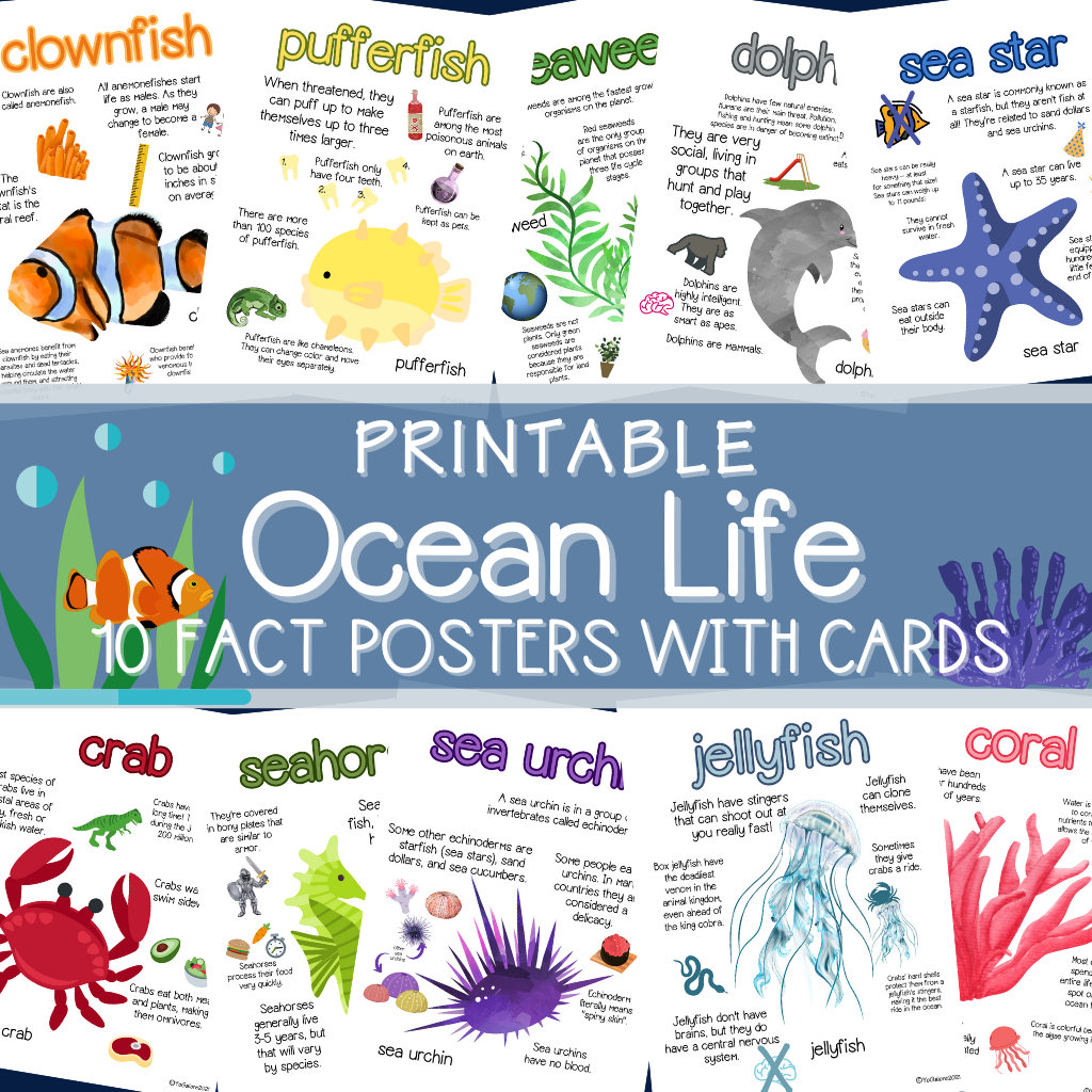 Ocean Life Fact Posters and Cards - Etsy