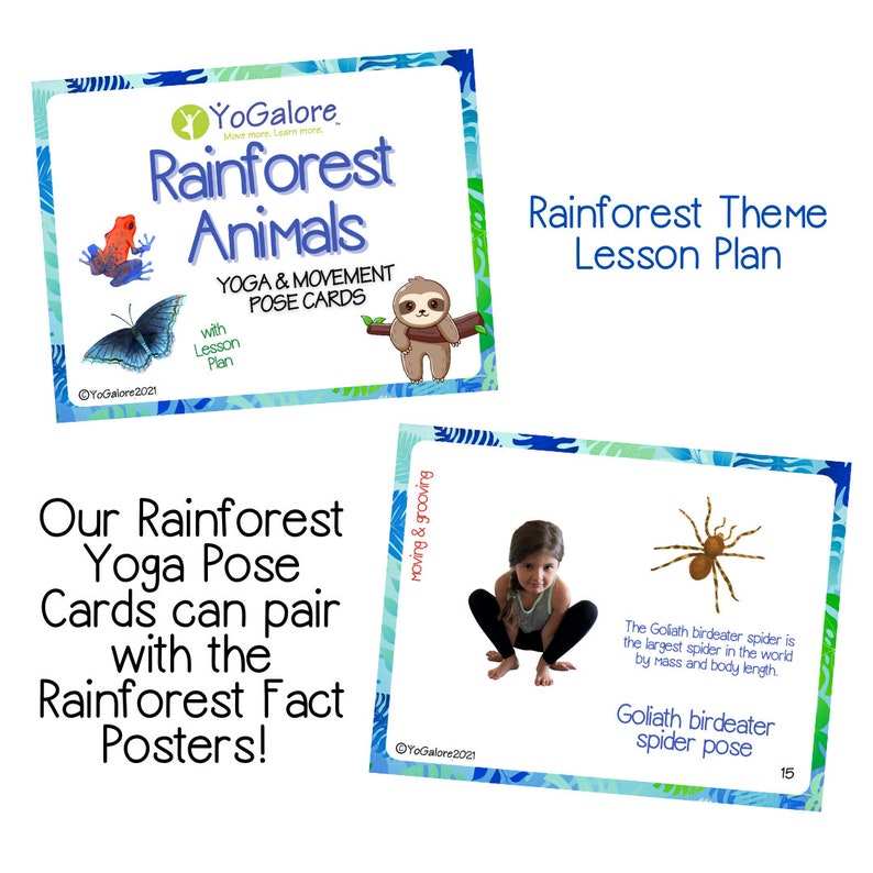 Rainforest Theme Yoga Pose Cards and Rainforest Fact Posters - Etsy