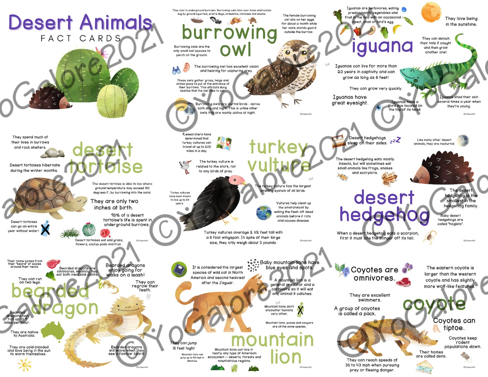 Desert Animal Facts: Posters for the Classroom (or Playroom!) - Etsy