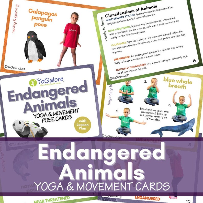 Endangered Animal Yoga & Movement Cards and Lesson Plan | Etsy