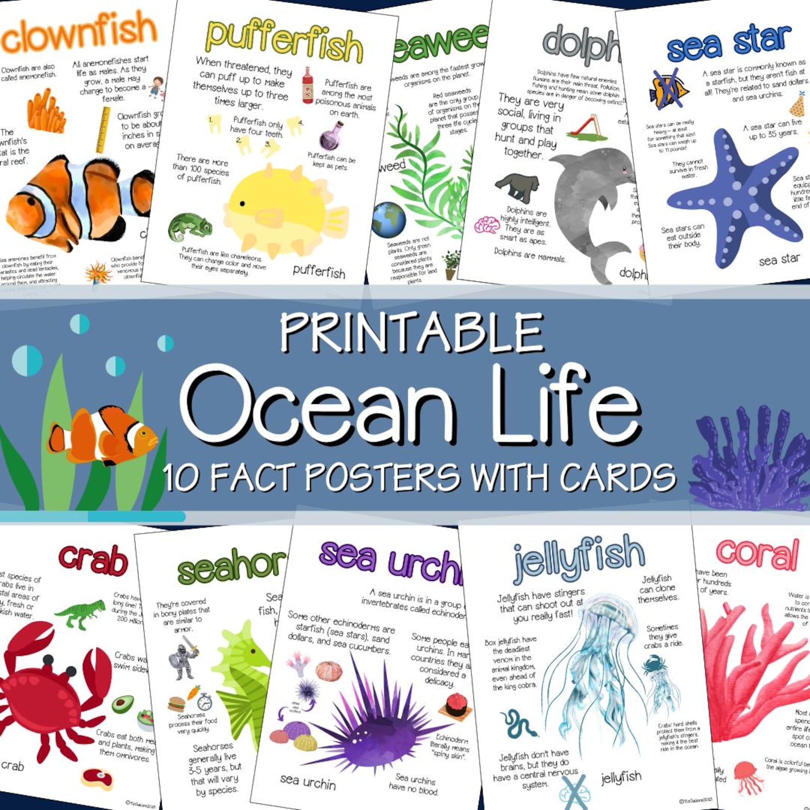 Ocean Life Fact Posters and Cards, Printable Sea Animal Facts for Kids ...