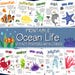 Ocean Life Fact Posters and Cards, Printable Sea Animal Facts for Kids ...
