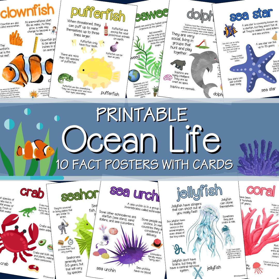 Ocean Life Fact Posters and Cards, Printable Sea Animal Facts for Kids ...
