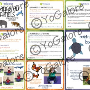 Endangered Animal Yoga & Movement Cards and Lesson Plan | Etsy