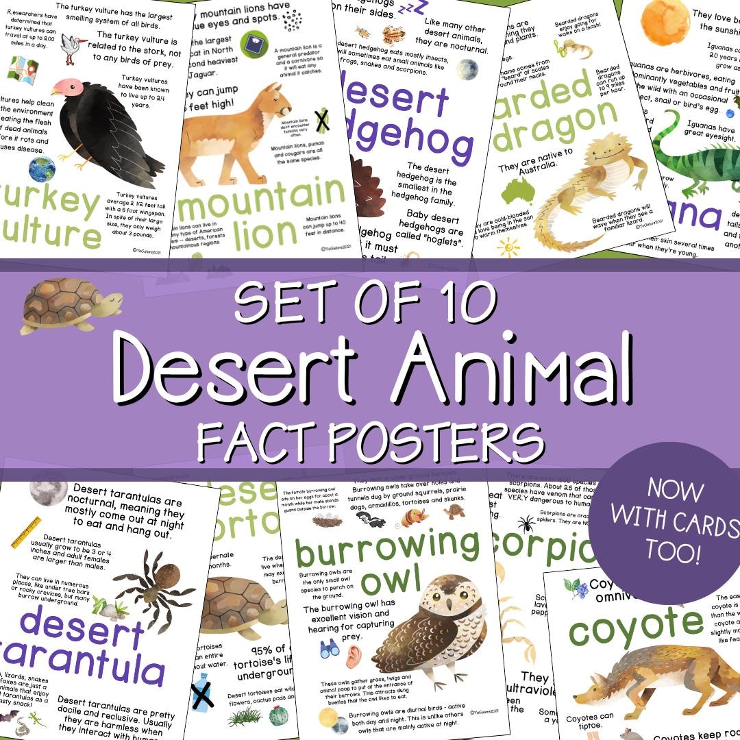 Desert Animal Fact Posters and Cards, Printable Science Decor for Kids ...