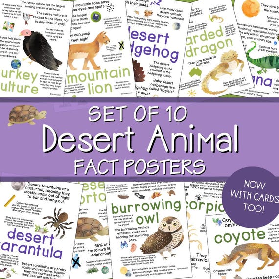 Información Sobre Los Animales Del Desierto