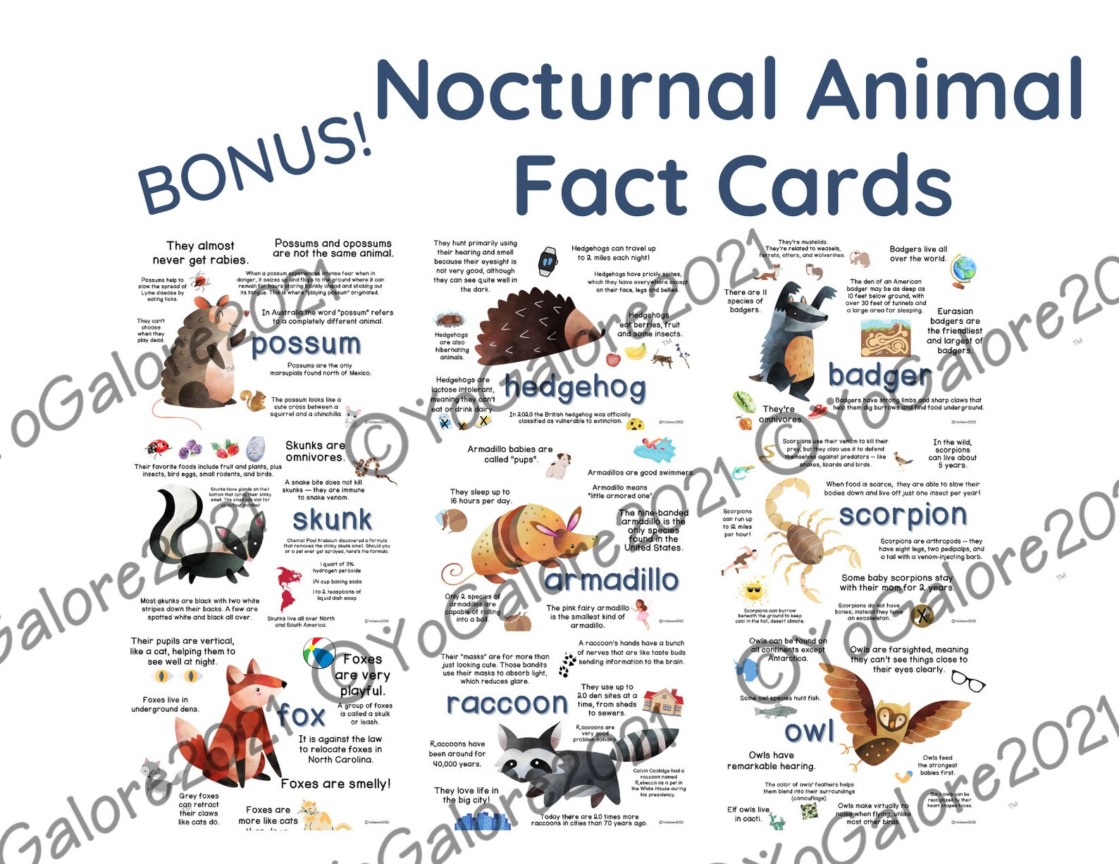 Nocturnal Animal Theme Fact Posters for Preschool and Kindergarten - Etsy