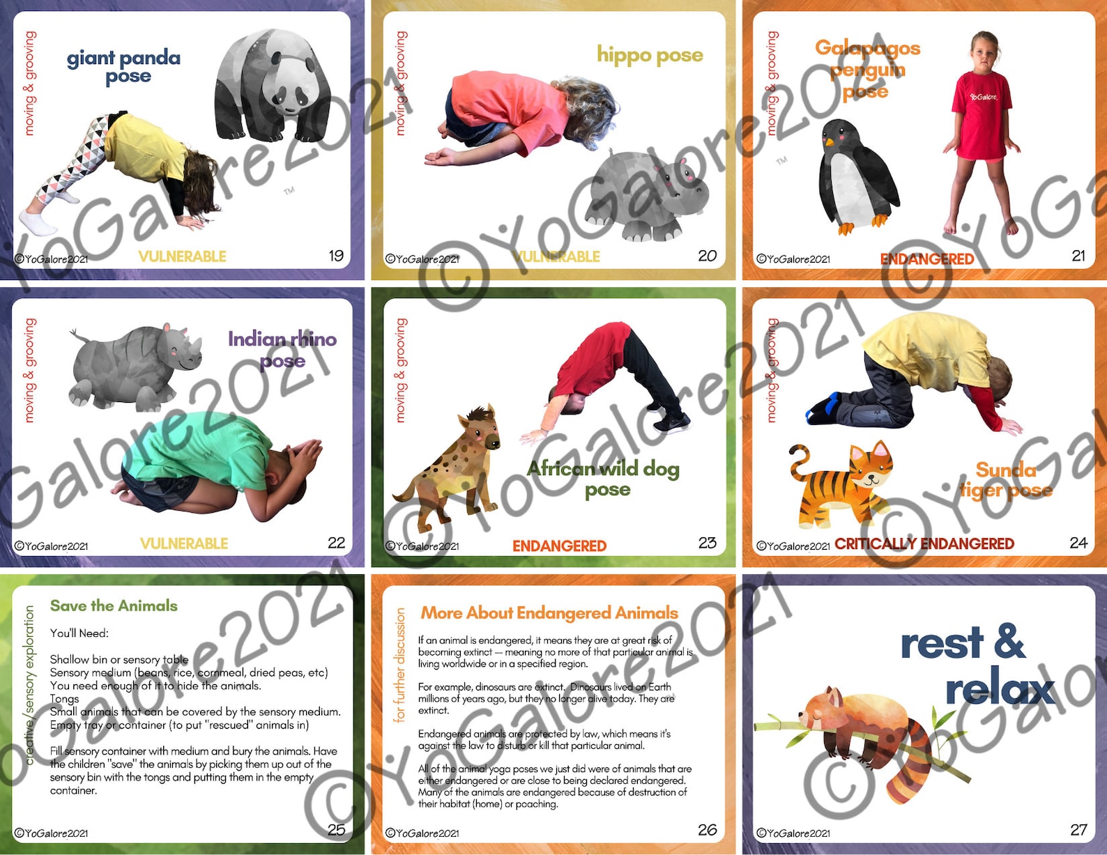 Endangered Animal Yoga & Movement Cards and Lesson Plan | Etsy