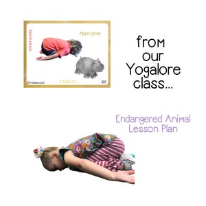 Endangered Animal Yoga & Movement Cards and Lesson Plan - Etsy