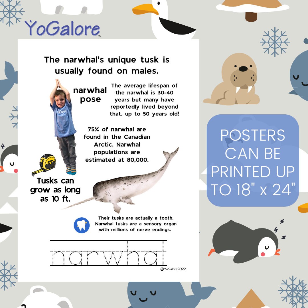 Arctic Animal Posters With Yoga Poses | Mindful Movement for Kids - Etsy