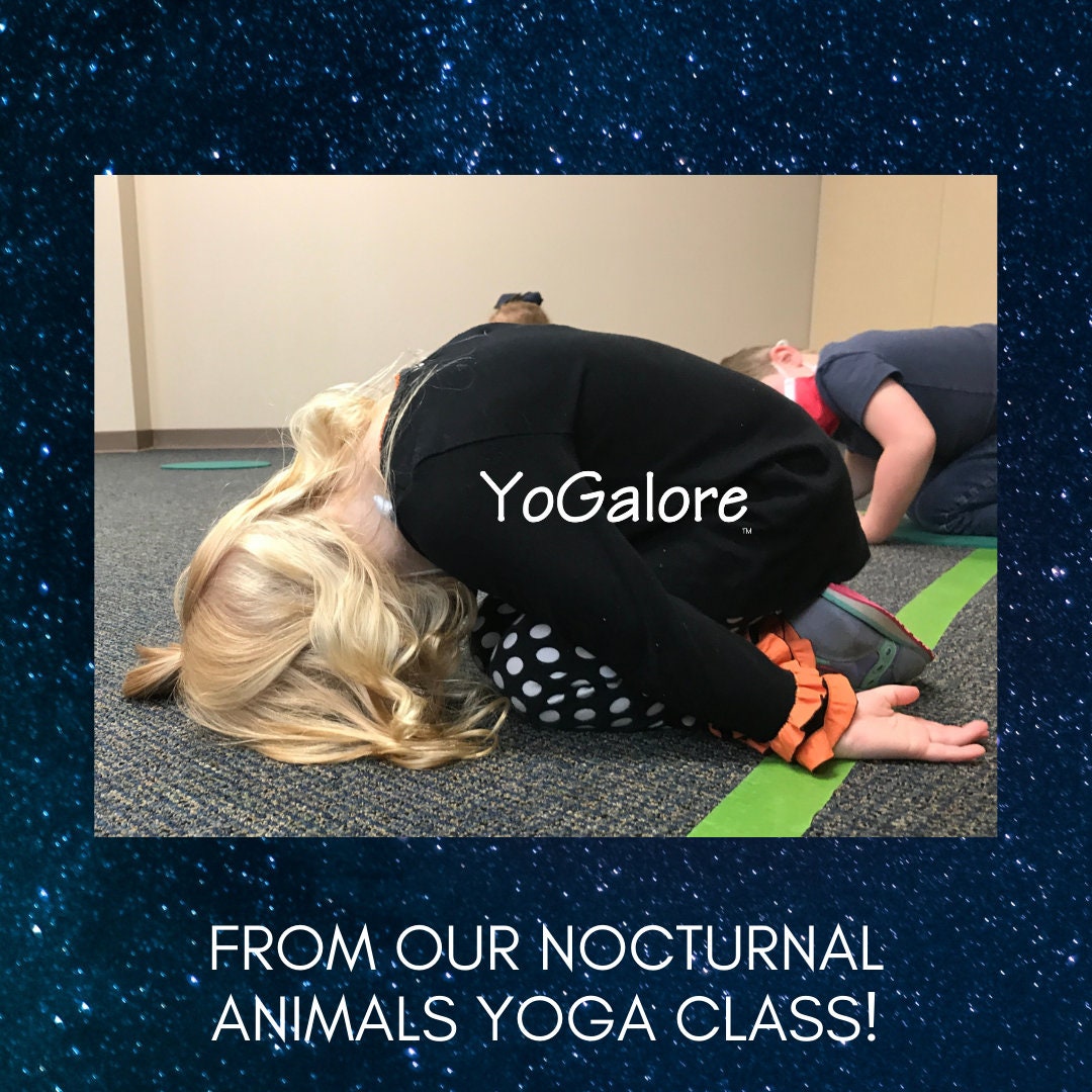 Nocturnal Animals Yoga & Movement Pose Cards - Etsy