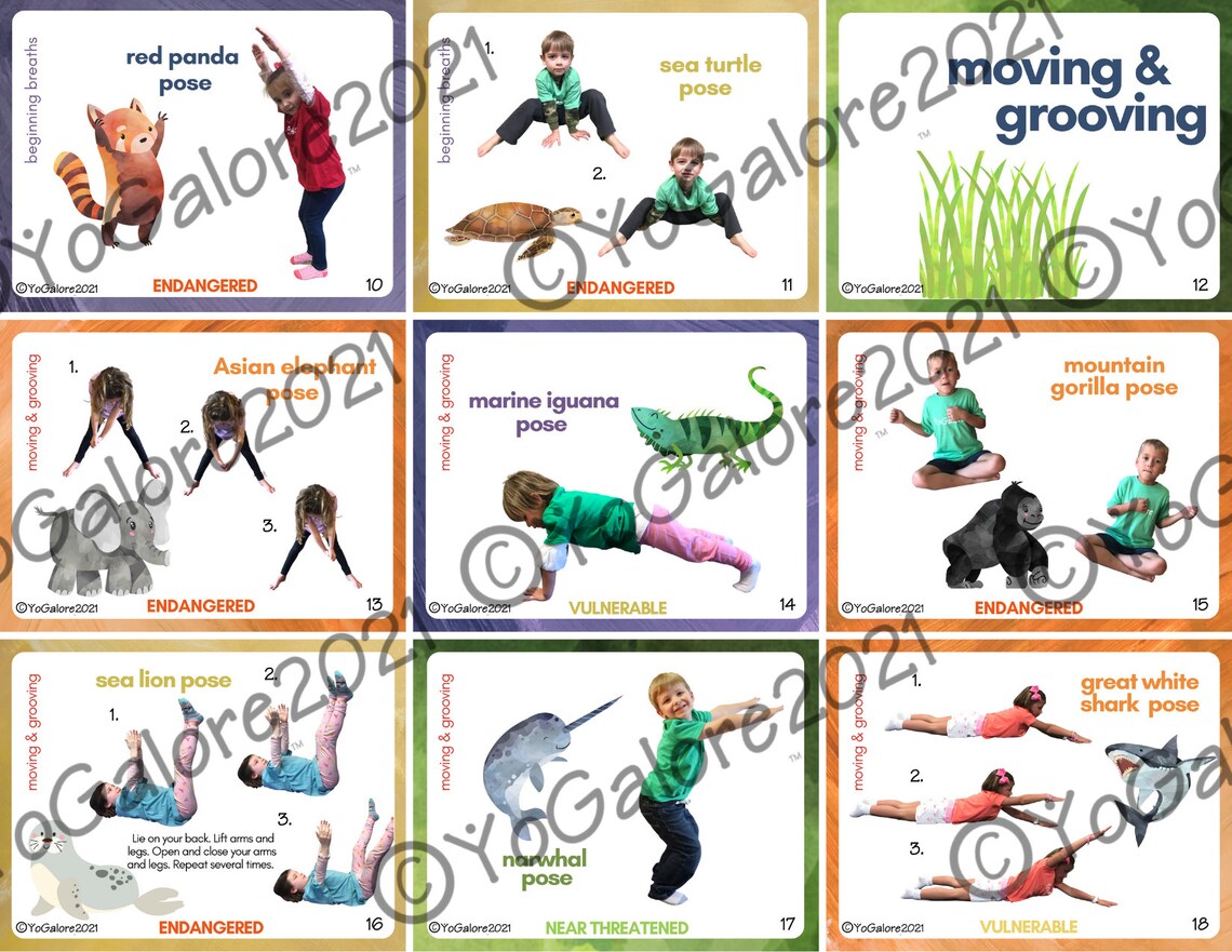 Endangered Animal Yoga & Movement Cards and Lesson Plan | Etsy