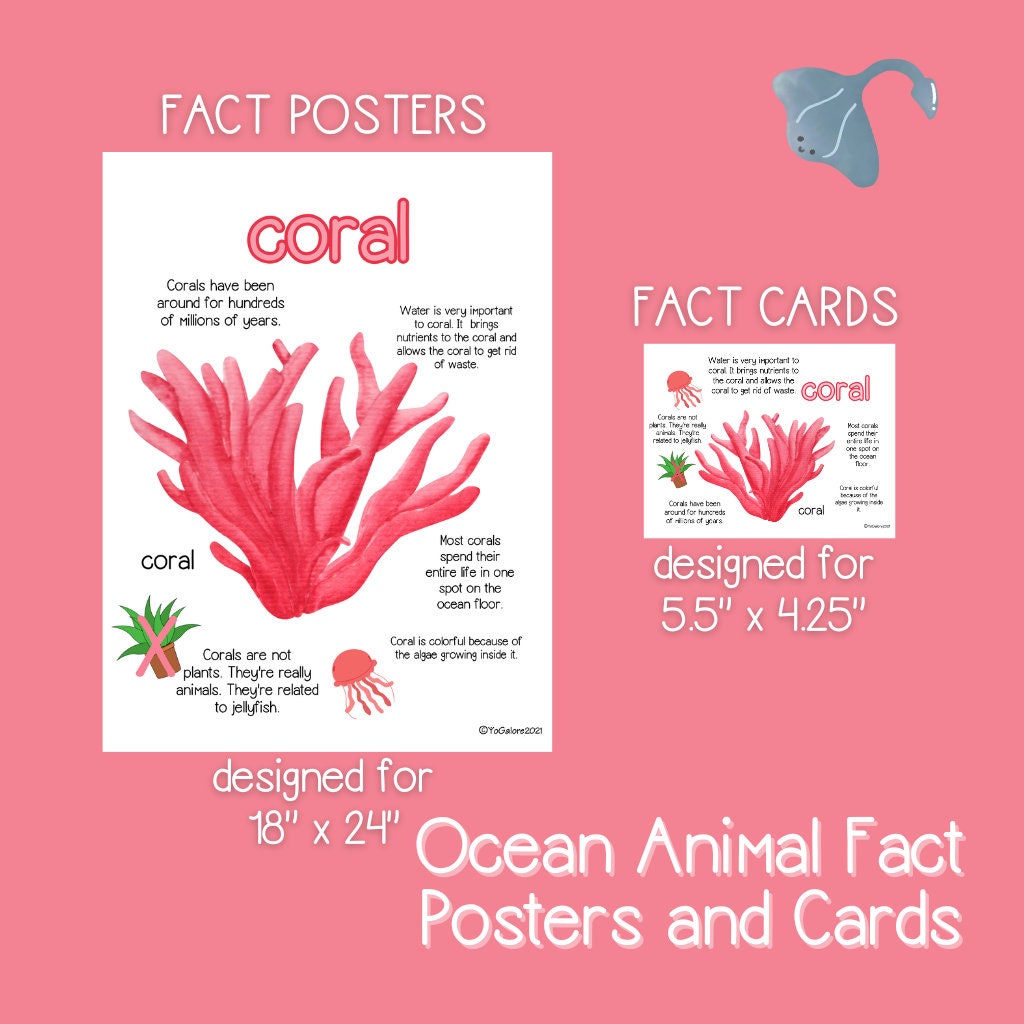 Ocean Life Fact Posters and Cards, Printable Sea Animal Facts for Kids ...