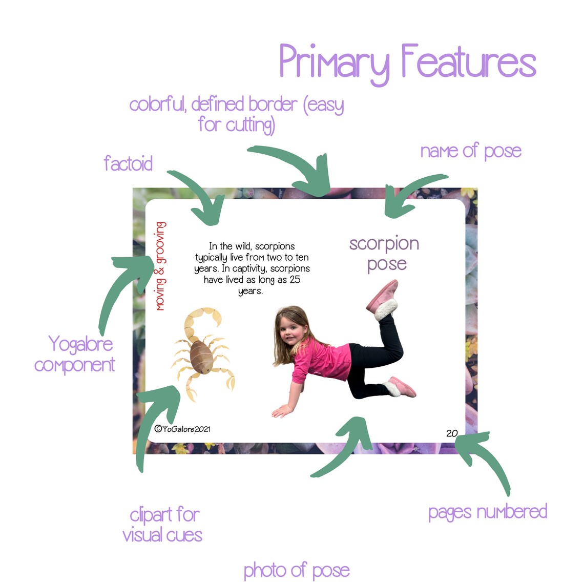 Desert Animal Yoga & Movement Pose Cards - Fun and Engaging Activity ...