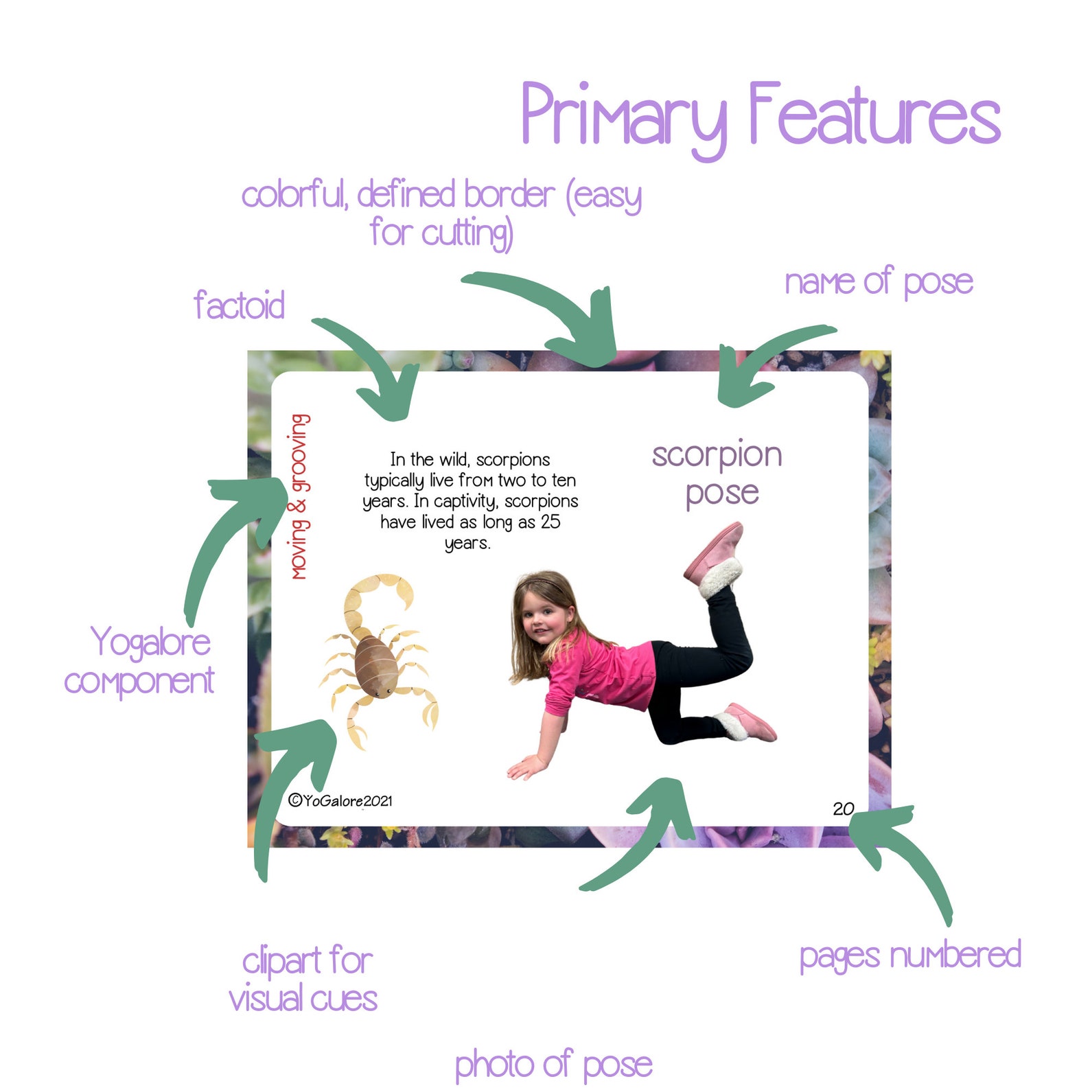 Desert Animal Yoga & Movement Pose Cards - Fun and Engaging Activity ...