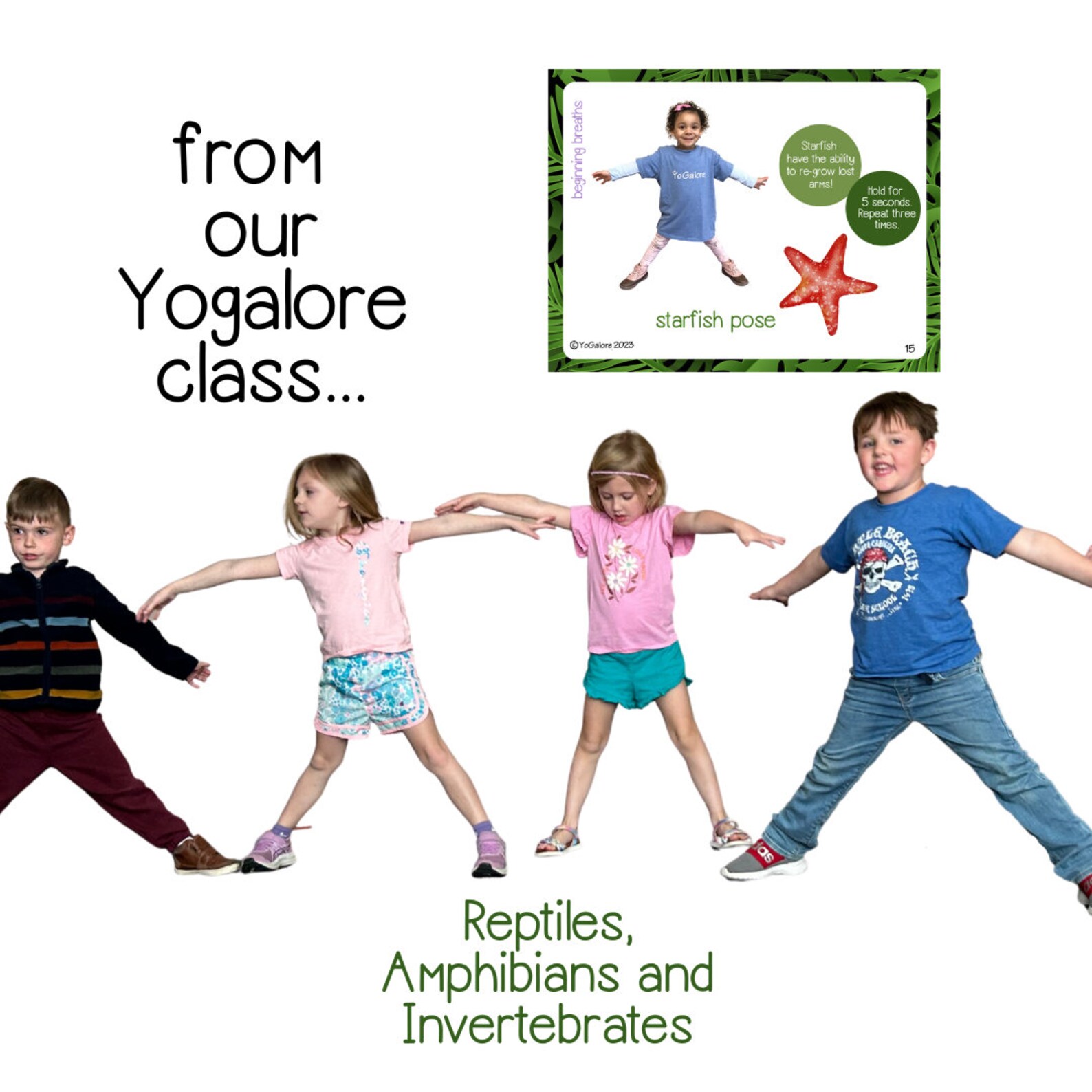 Reptiles, Amphibians and Invertebrates Yoga & Movement Pose Cards - Etsy
