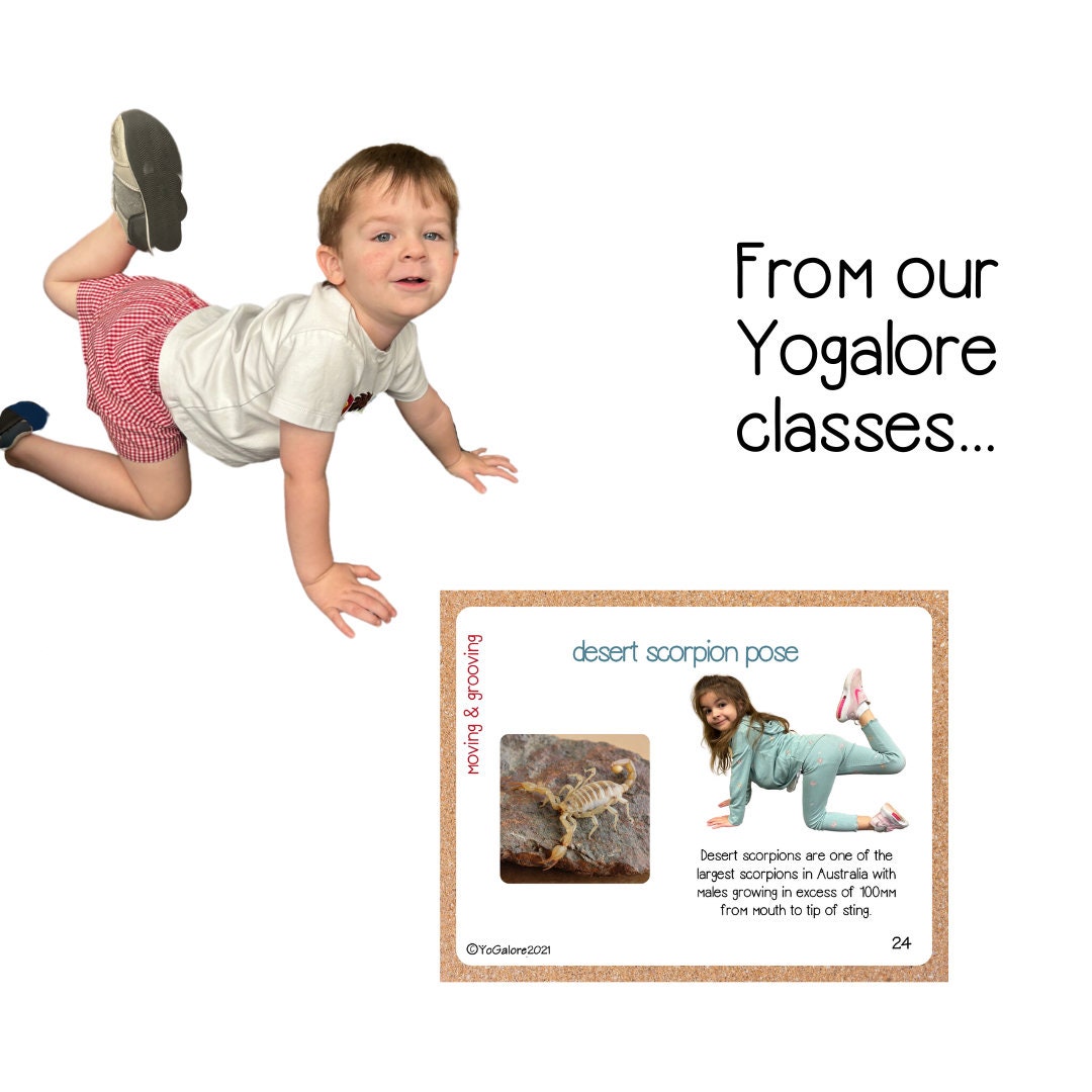 Australian Outback Animal Yoga & Movement Pose Cards - Educational and ...