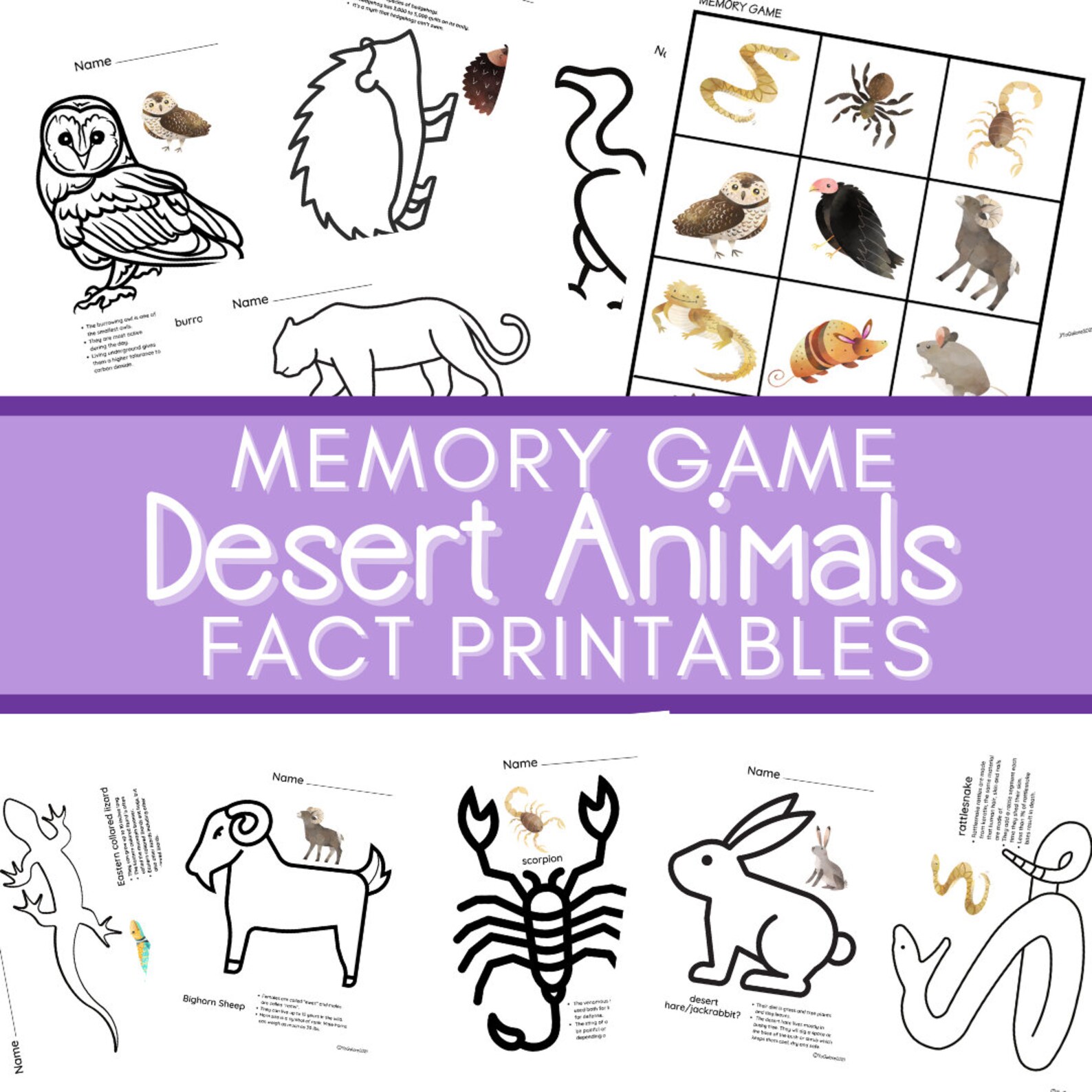 Desert Theme Activities: Set of 10 Fact Printables & Memory Game - Etsy