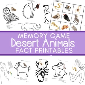 Desert Theme Activities: Set of 10 Fact Printables & Memory Game - Etsy