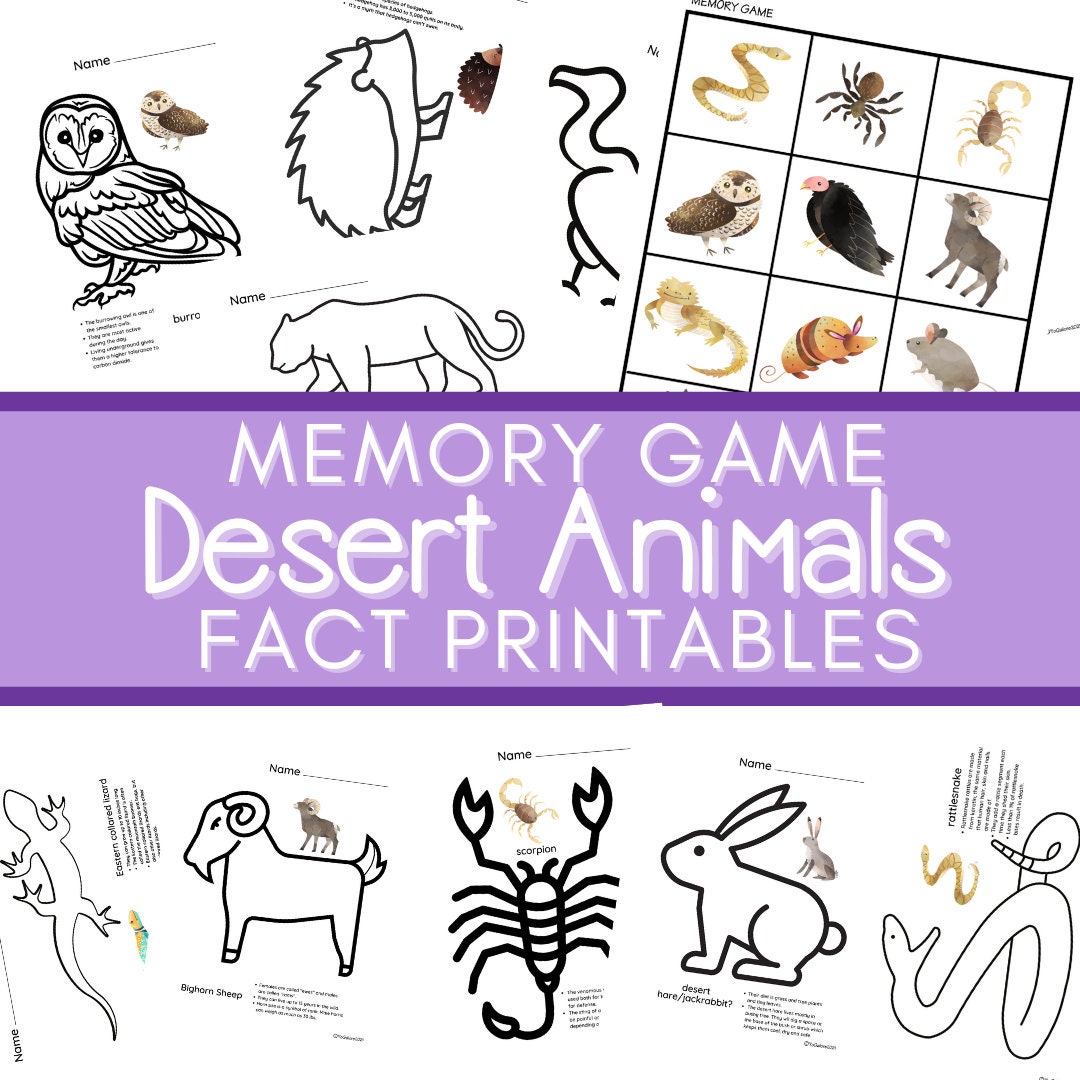 Desert Theme Activities: Set of 10 Fact Printables & Memory Game - Etsy