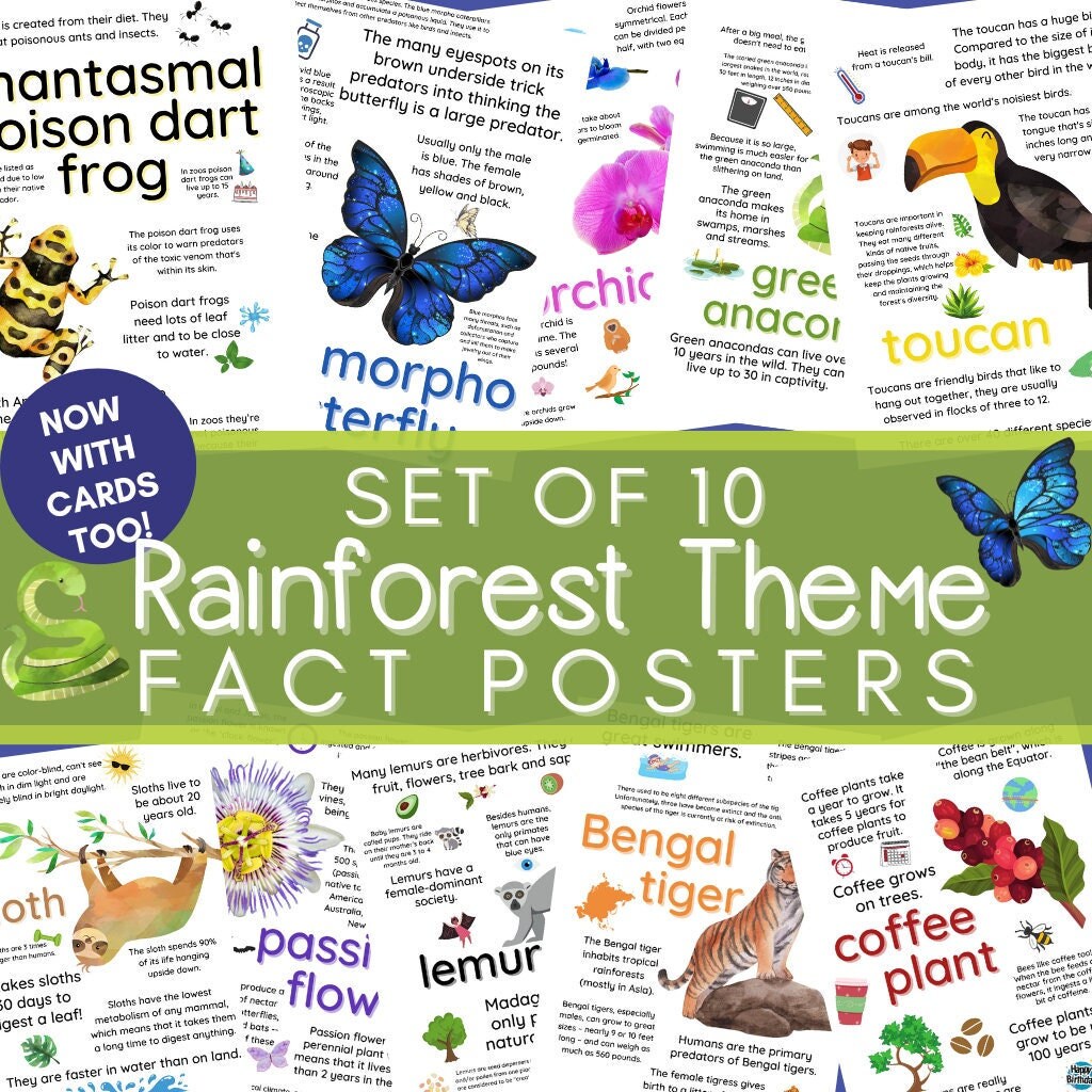 Facts About the Rainforest: Set of 10 Posters - Etsy