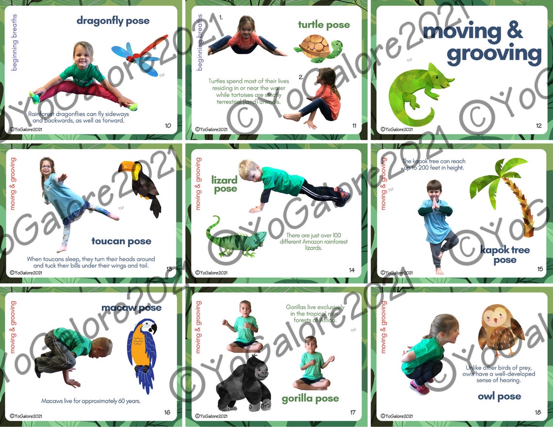 Rainforest Animals Yoga & Movement Pose Cards - Etsy