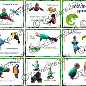 Rainforest Animals Yoga & Movement Pose Cards - Etsy