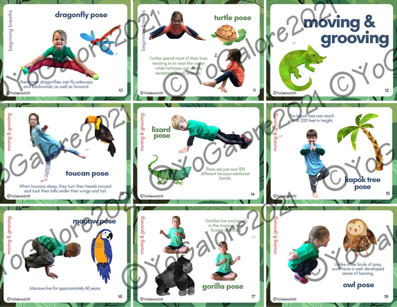 Rainforest Animals Yoga & Movement Pose Cards - Etsy