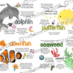 Ocean Life Fact Posters and Cards, Printable Sea Animal Facts for Kids ...
