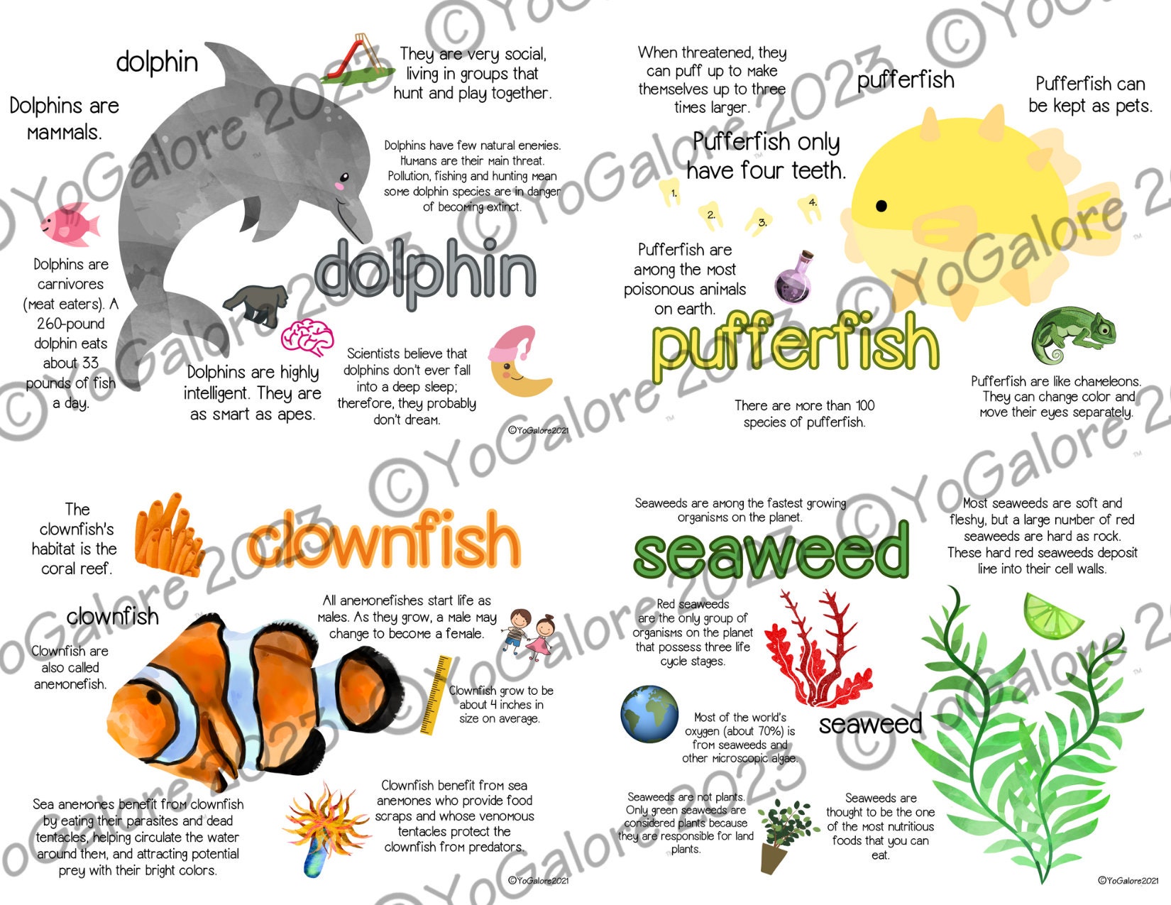Ocean Life Fact Posters and Cards, Printable Sea Animal Facts for Kids ...
