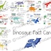 Dinosaur Fact Posters and Cards Printable Science Decor for Kids ...