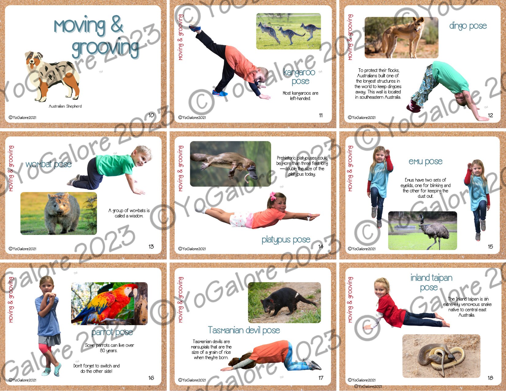 Australian Outback Animal Yoga & Movement Pose Cards - Educational and ...